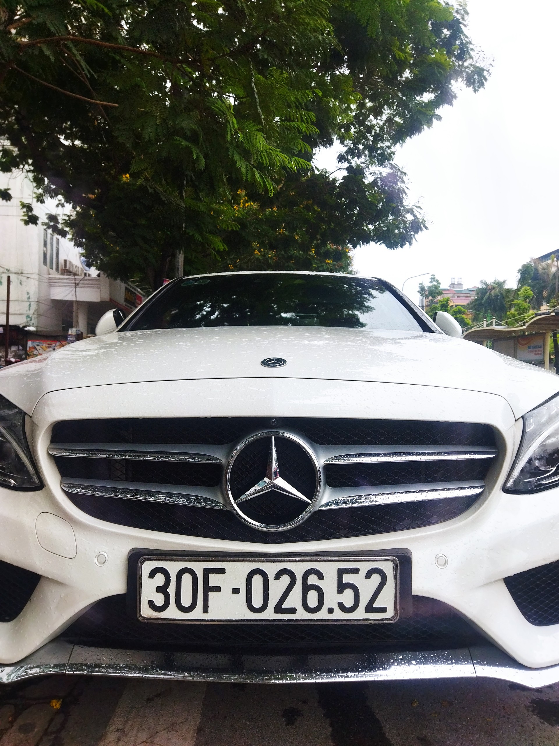 Dataset License Plate Object Detection Dataset And Pre Trained Model By