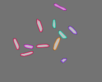 3 types of defects in rice Object Detection Dataset and Pre-Trained ...