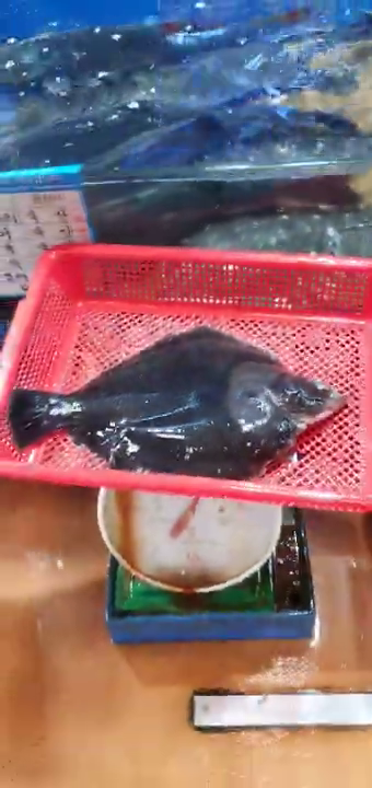 Verasper variegatus Object Detection Dataset by my test