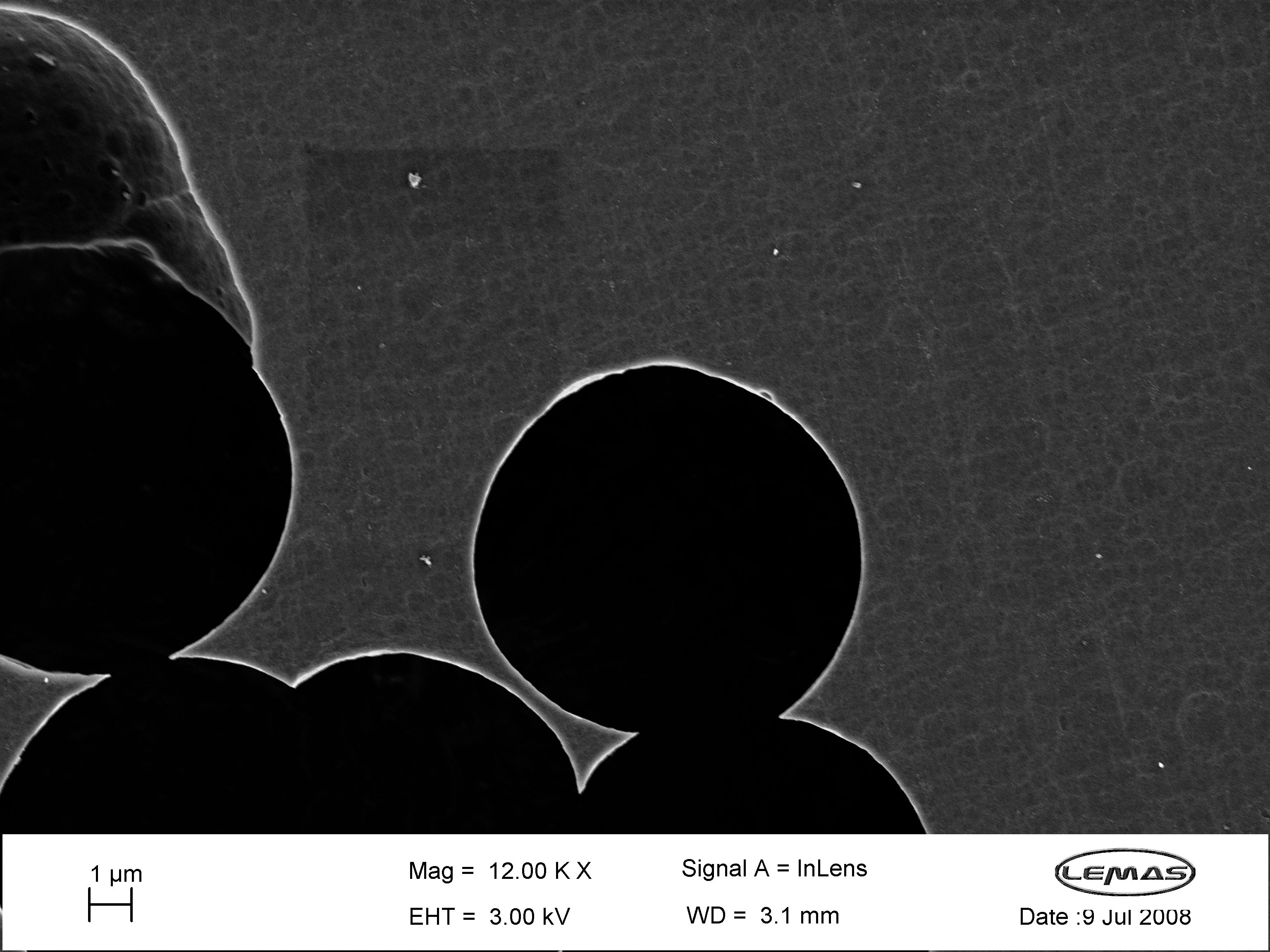 wear_particles Instance Segmentation Dataset and Pre-Trained Model by rehablab