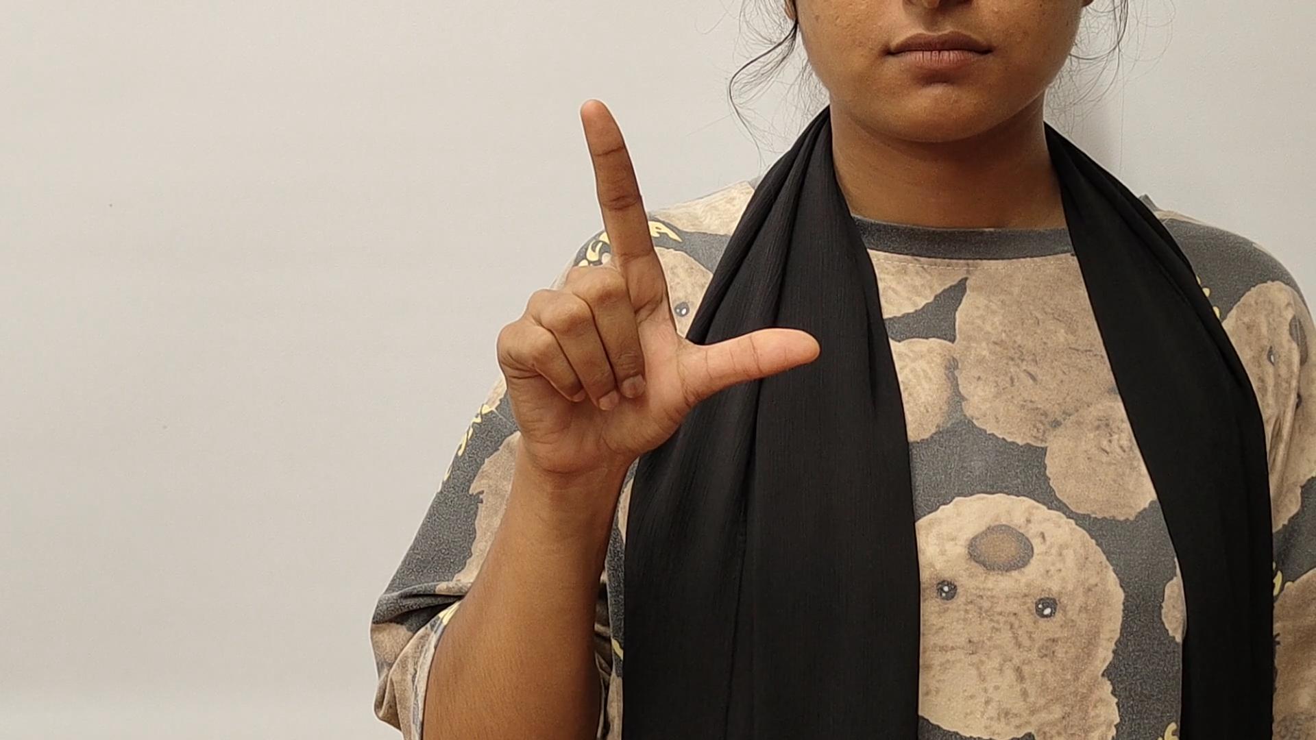 SignsCombined Object Detection Dataset and Pre-Trained Model by Mini Project