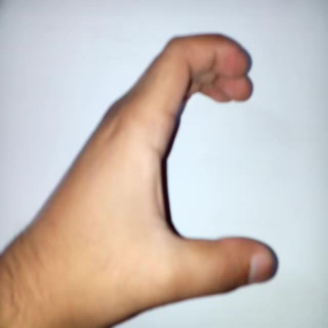 ISL using YOLOv5 Object Detection Dataset and Pre-Trained Model by YOLOv5