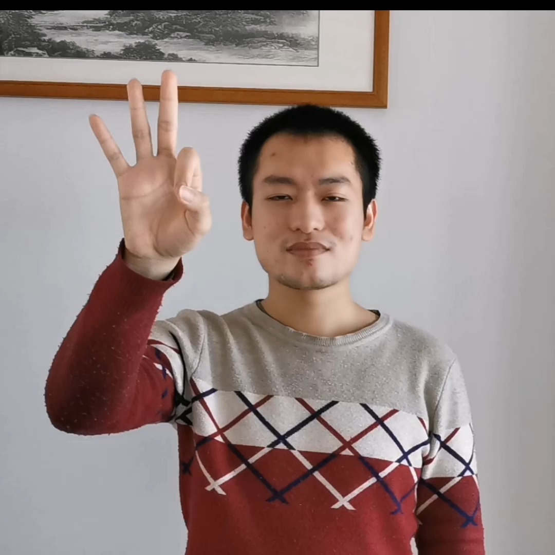 Gesture 3 Object Detection Dataset By Jackie