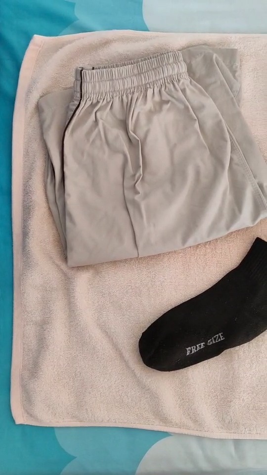 p1 Object Detection Dataset and Pre-Trained Model by Programming Assignment 2