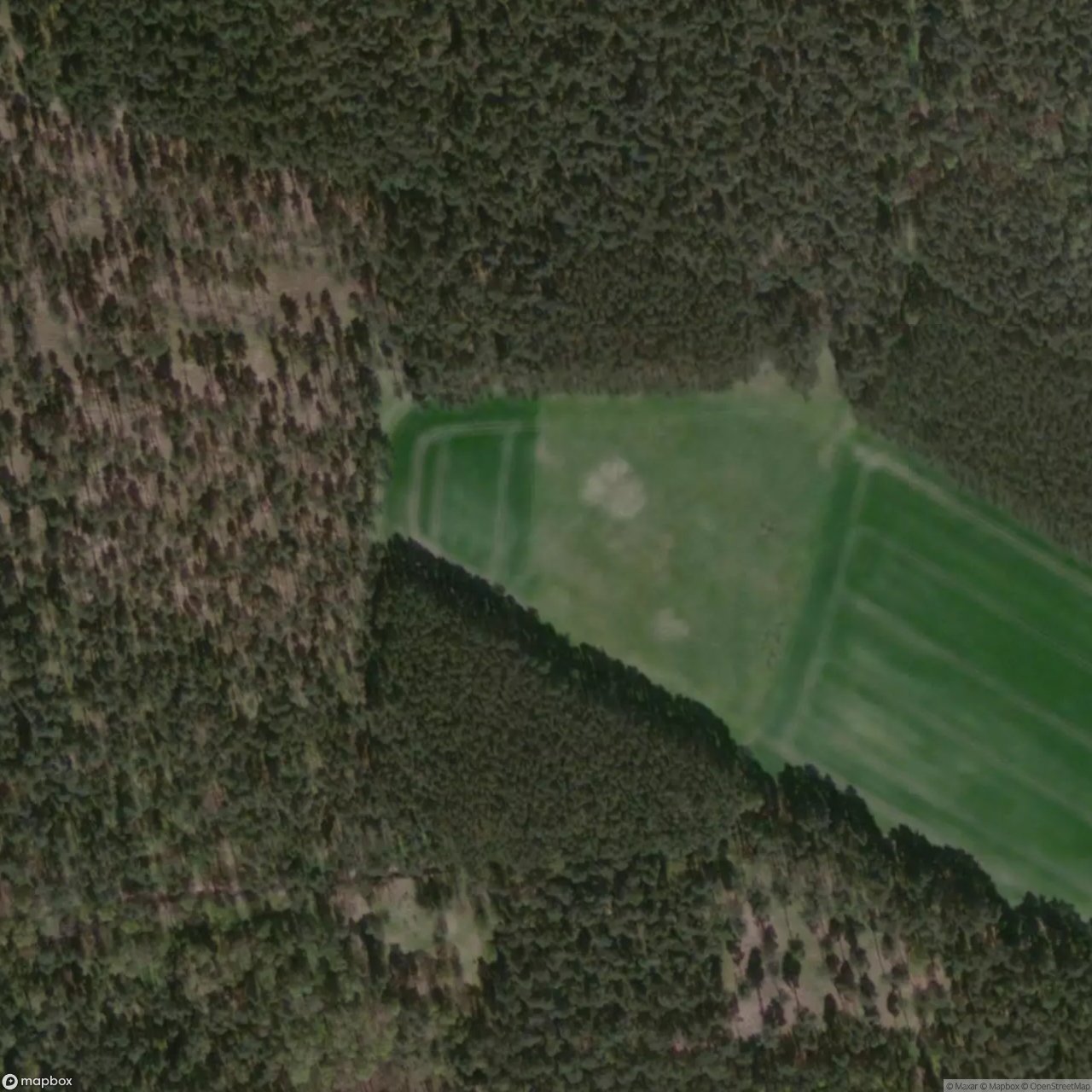 Tree Detection Object Detection Dataset By Satelliteimages