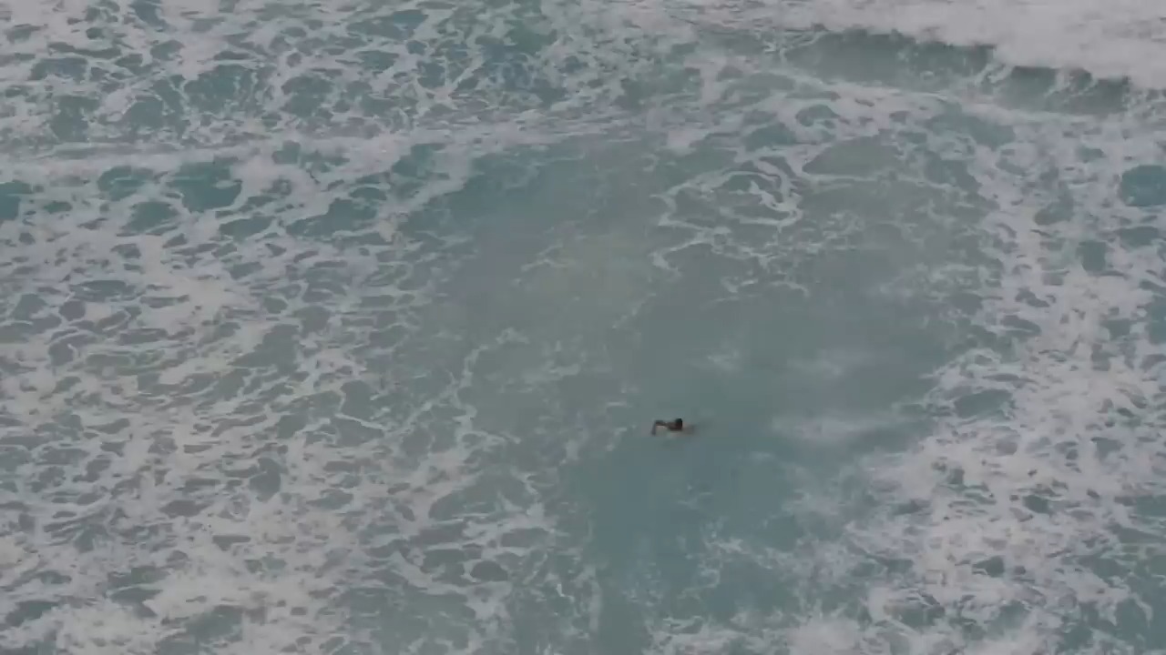 drone Object Detection Dataset and Pre-Trained Model by prototaip