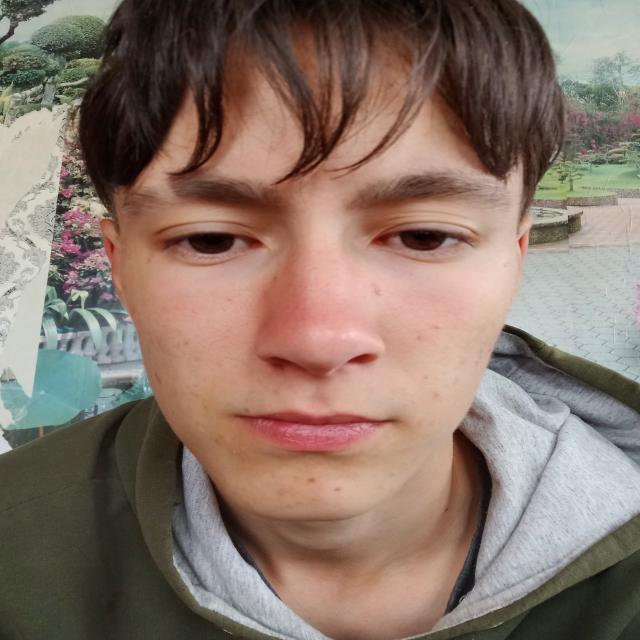 Acne Object Detection Dataset by Enes Nacarolu