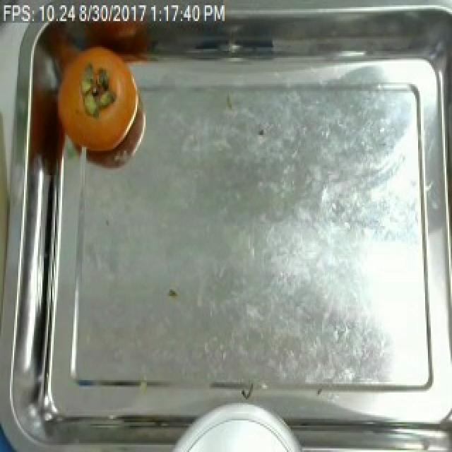 fruit Object Detection Dataset by guangdong