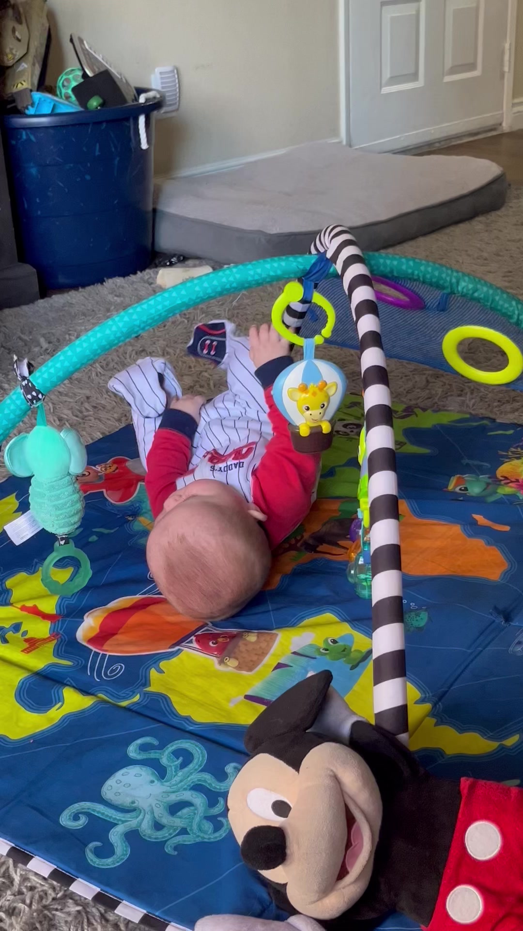 hand labelled baby Object Detection Dataset by Hand Labelled V2