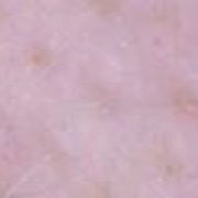 Detectron_2 Object Detection Dataset by Anuvind Sasikumar