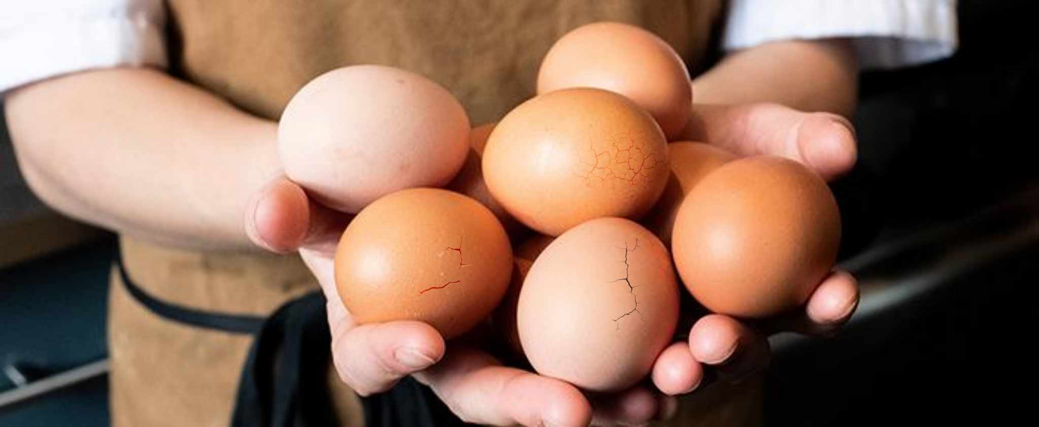 Cracked Egg Detection Object Detection Dataset and Pre-Trained Model by ...