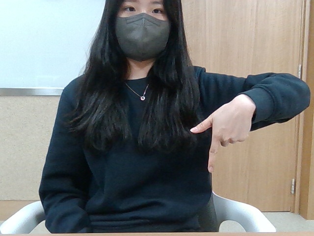 capstone_heesun Object Detection Dataset by dlth508@naver.com