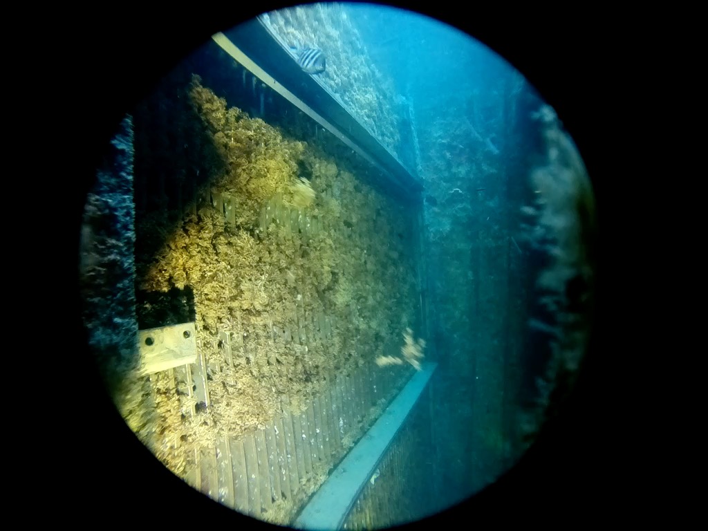 Fathom Ocean (fathom-ocean-65f5n) - Roboflow Universe