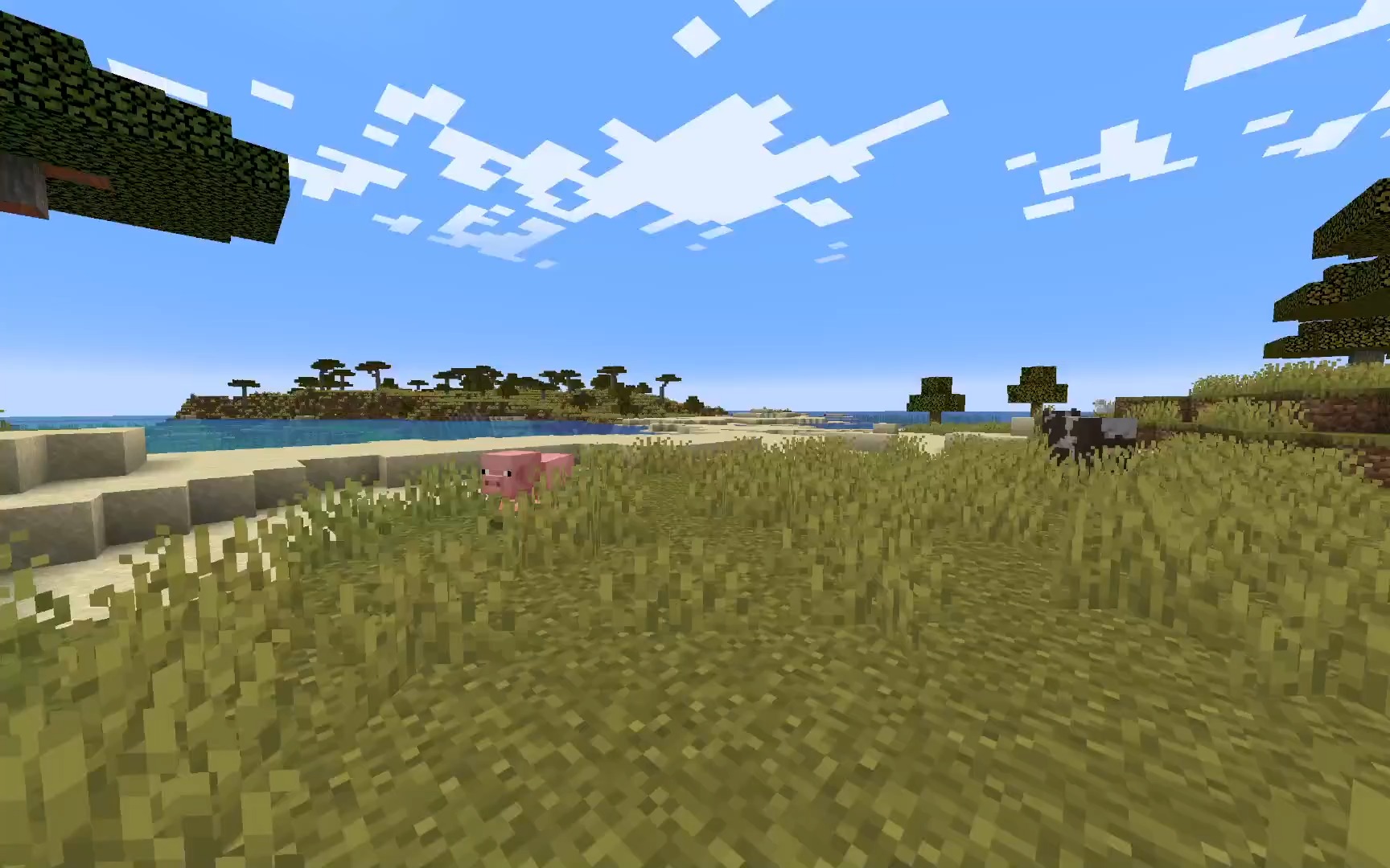 minecraft Object Detection Dataset by Aryaka