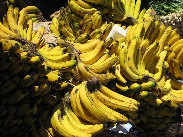 Banana Object Detection Dataset And Pre Trained Model By Polifemo