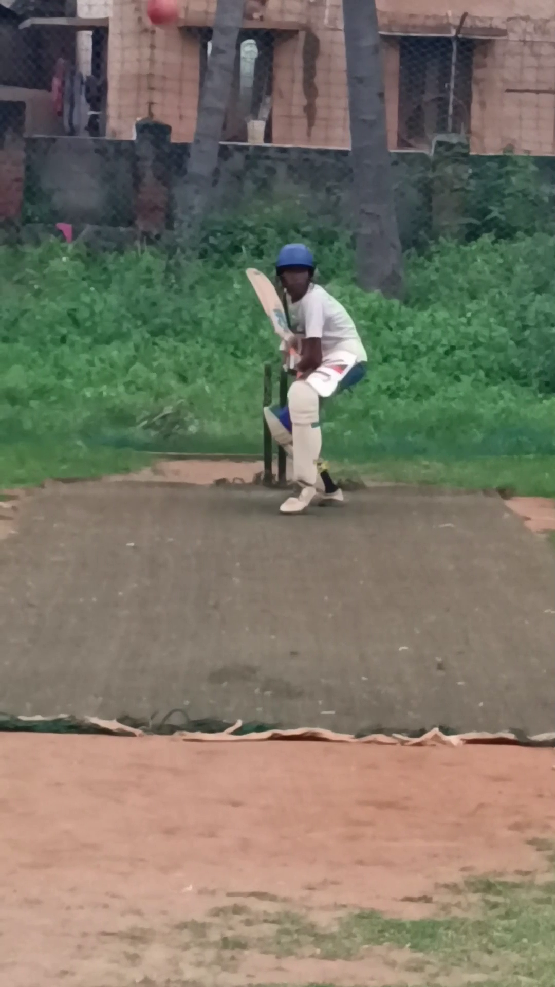 Cricket Object Detection Dataset And Pre Trained Model By Ashique