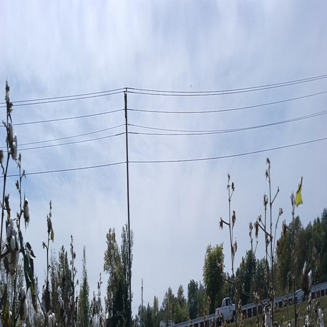 Weather Classification Classification Dataset By Zhang Lab Projects