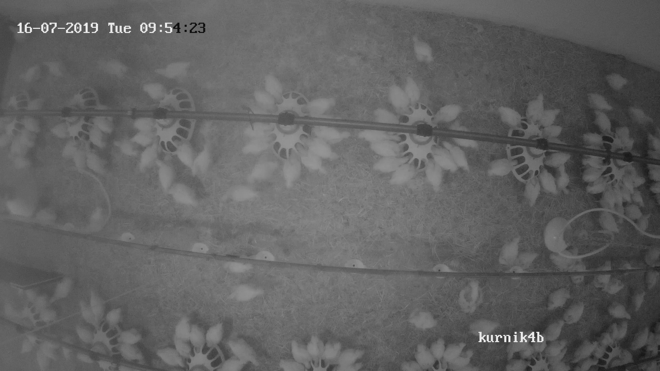 praca_inzynierska_backup Object Detection Dataset by chickensss