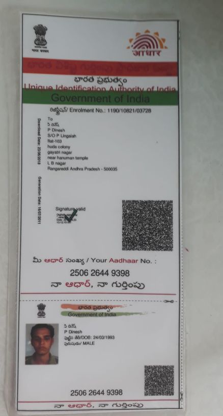 How to Use the DETECTION Object Detection API