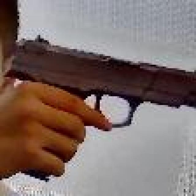 violence Object Detection Dataset and Pre-Trained Model by bhavya