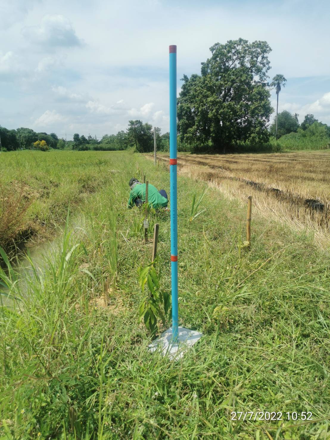 Pole Detection Object Detection Dataset And Pre Trained Model By Treeanno