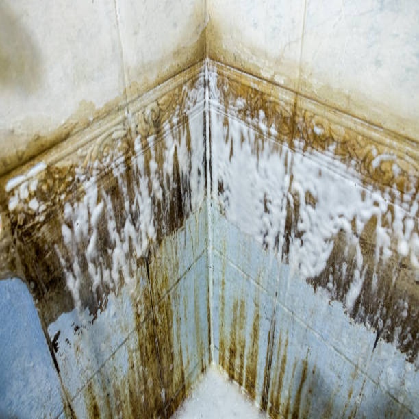 dsa Object Detection Dataset (v1, 2022-10-21 7:56am) by Foxlanders