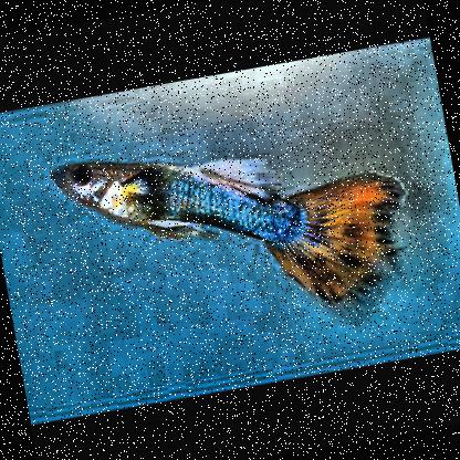 Ethan Reyes - Roboflow Universe