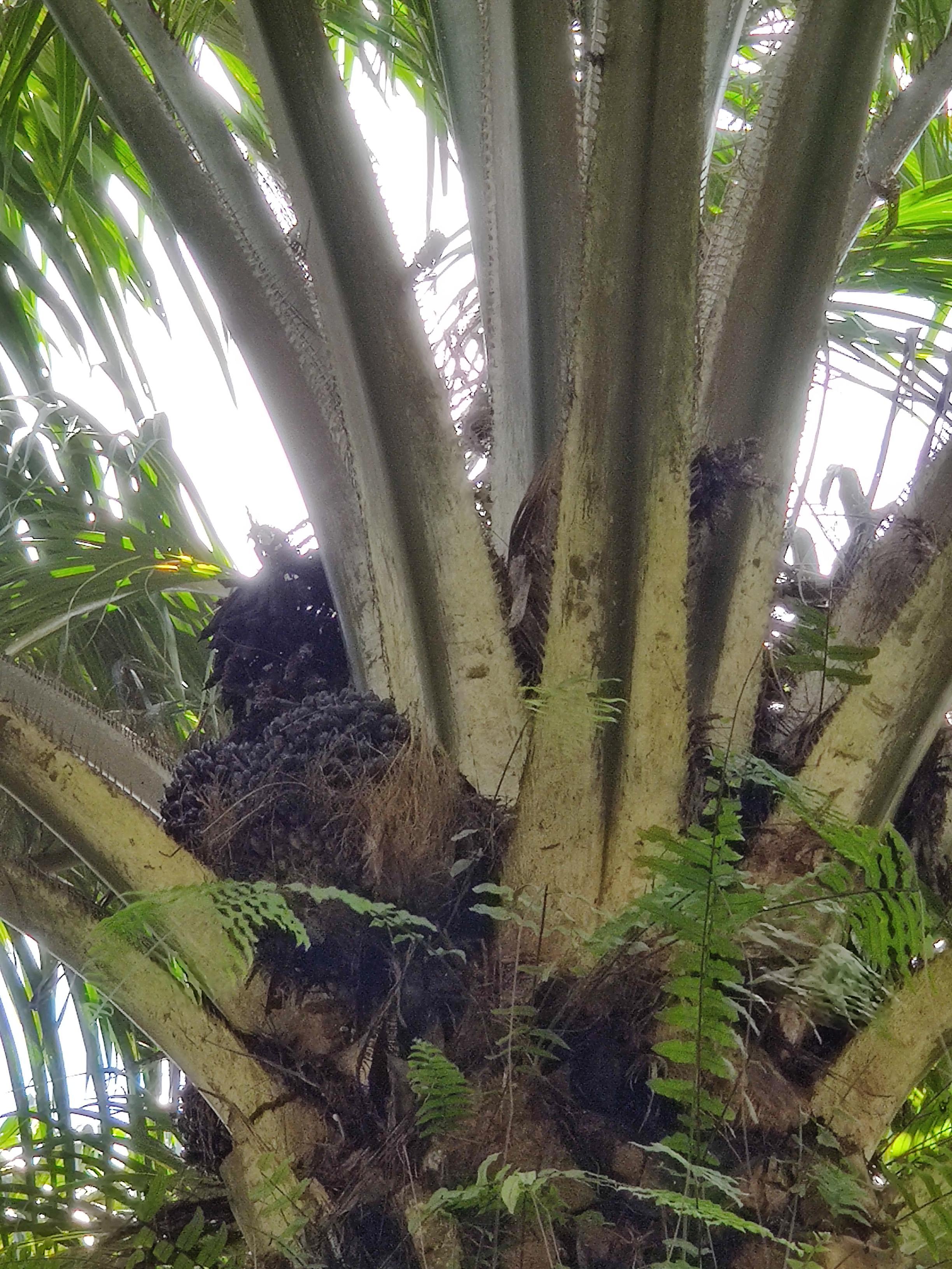 Test Object Detection Dataset By Mmu