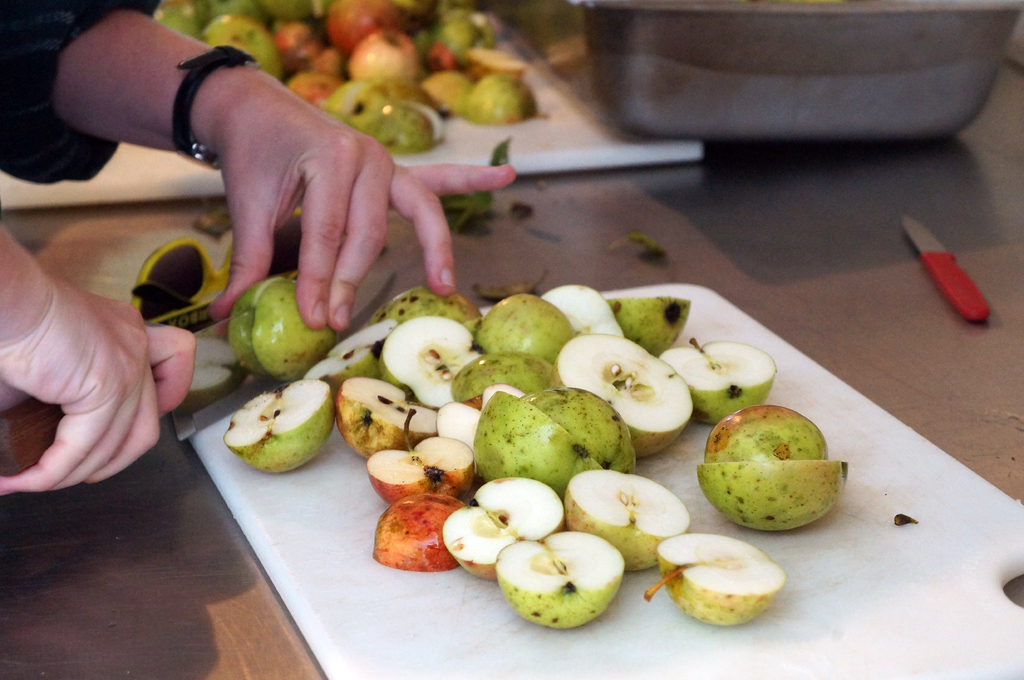 Open Images Dataset v6 Foods Object Detection Dataset by FoodAI