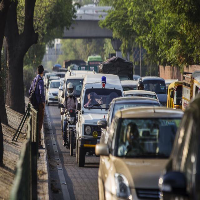 detection Object Detection Dataset by majorProject