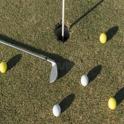 Golf Object Detection Dataset by d