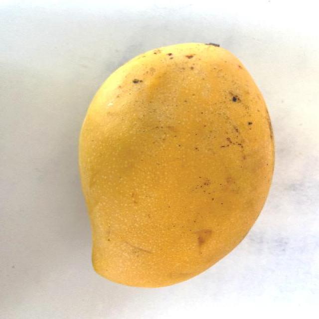 Mangga Deteksi Object Detection Dataset and Pre-Trained Model by ziyah