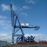 Alpha-Crane-Omega Object Detection Dataset and Pre-Trained Model by Gabriel Freeze