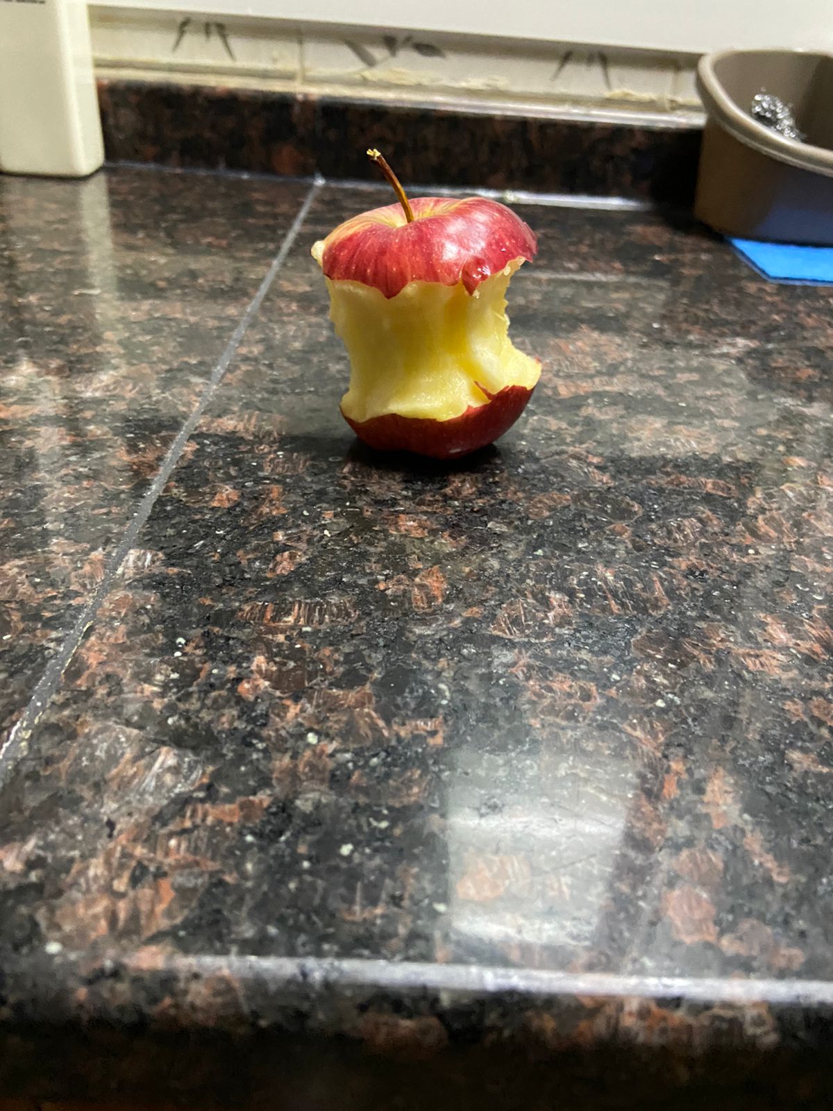 Apple Object Detection Dataset by SDP2