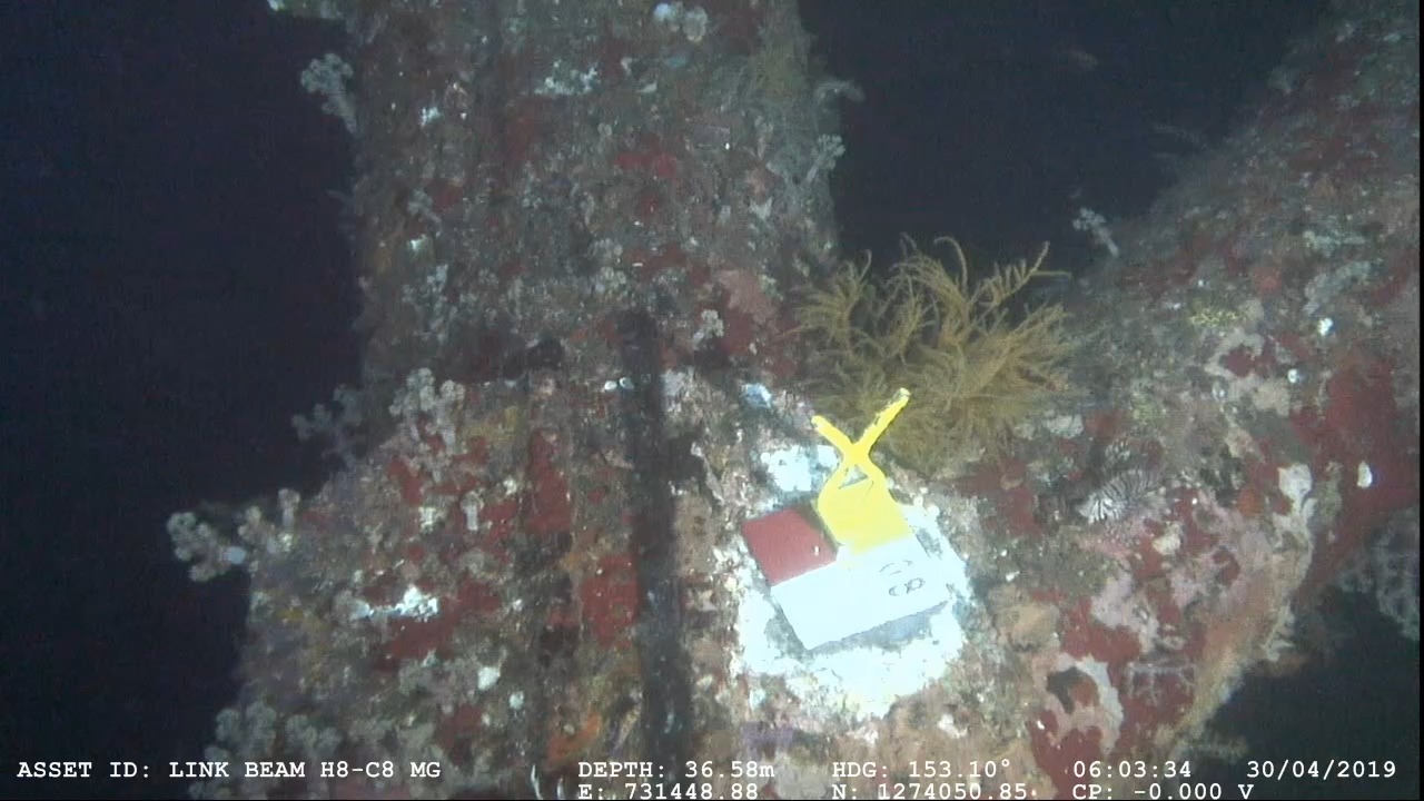 Underwater Object Detection Object Detection Dataset By Side 1642