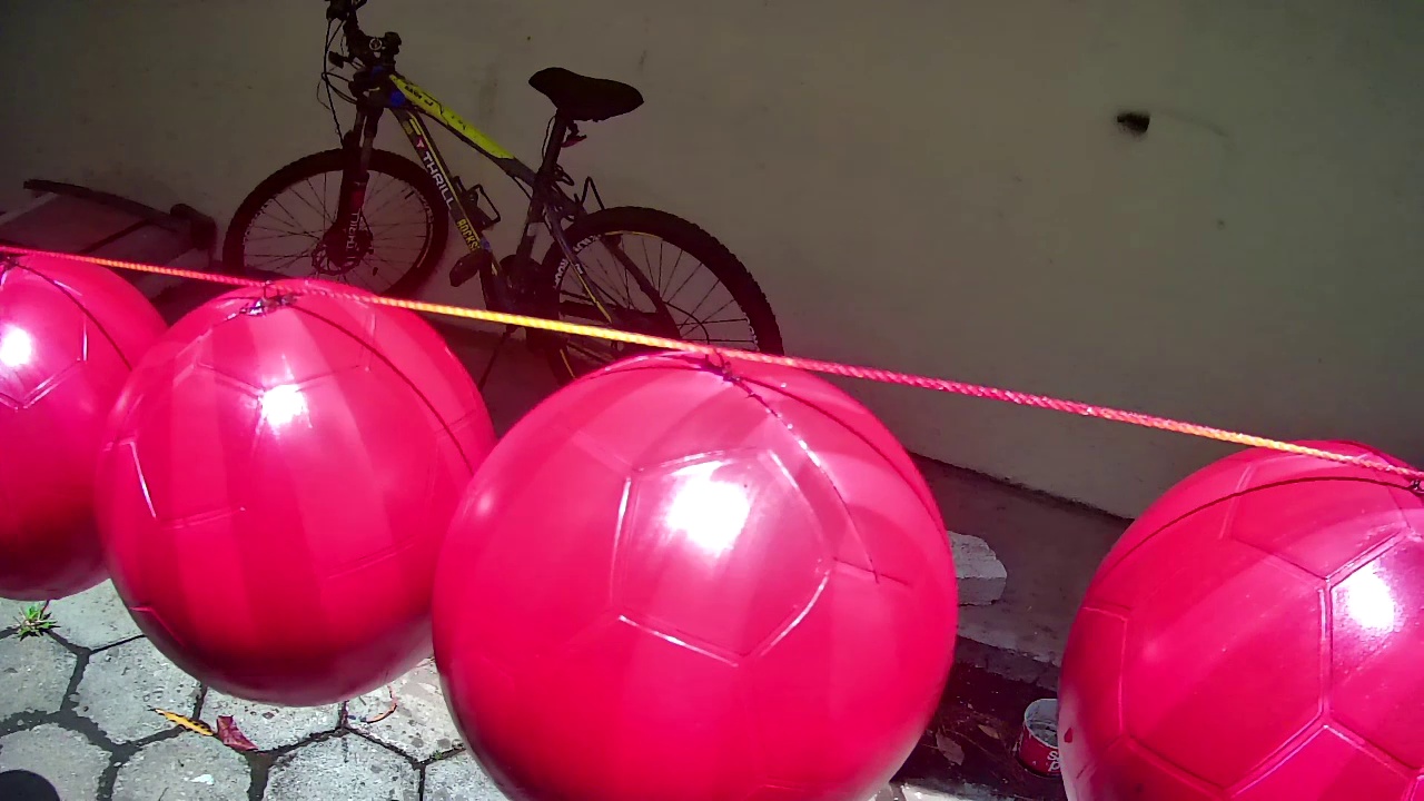 Bal Object Detection Dataset And Pre Trained Model By Sigit Khoirul Anam