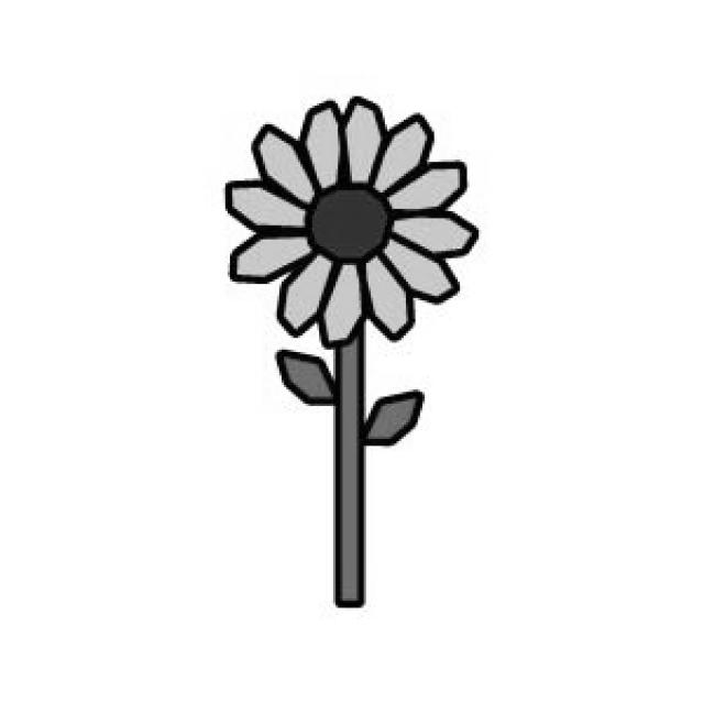 Sunflower Object Detection Dataset By Project Qxgbd