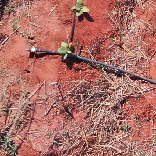 Tobacco Object Detection Dataset and Pre-Trained Model by University of ...