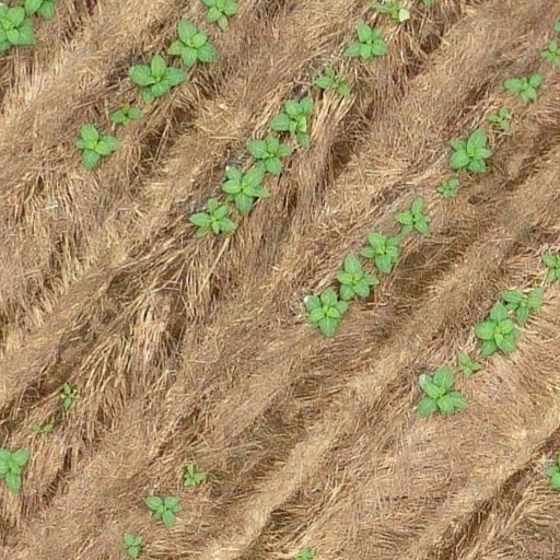 Tobacco Object Detection Dataset And Pre Trained Model By University Of State Maringa