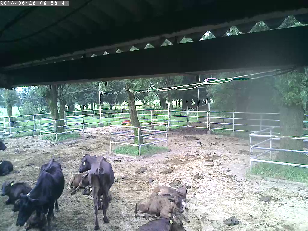 Dataset Format Conversion Object Detection Dataset By New Workspace P9nzn