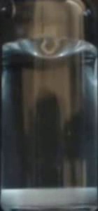 msc Object Detection Dataset by heinlab