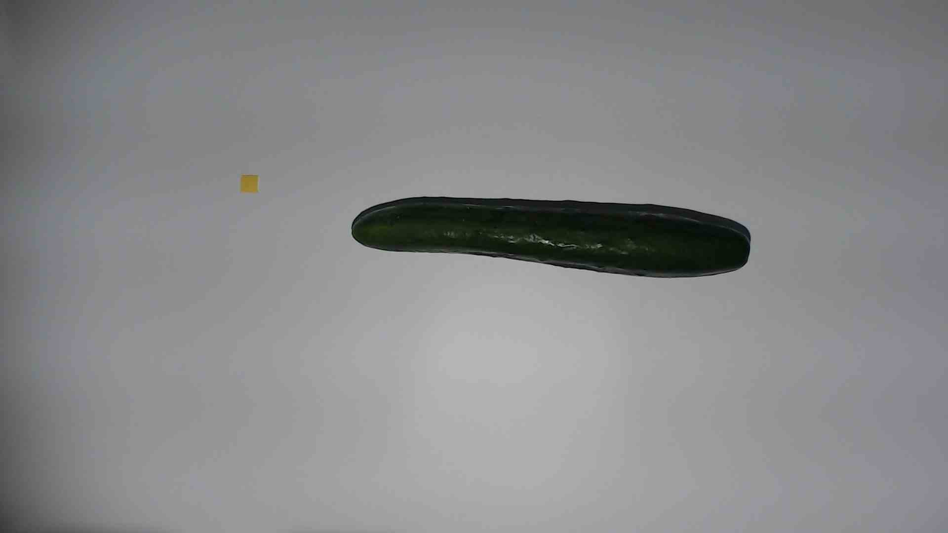 cucumber-quality-yolo Object Detection Dataset by project-g1x2w