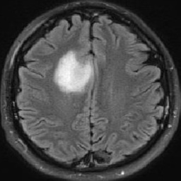 MP-test Instance Segmentation Dataset by College