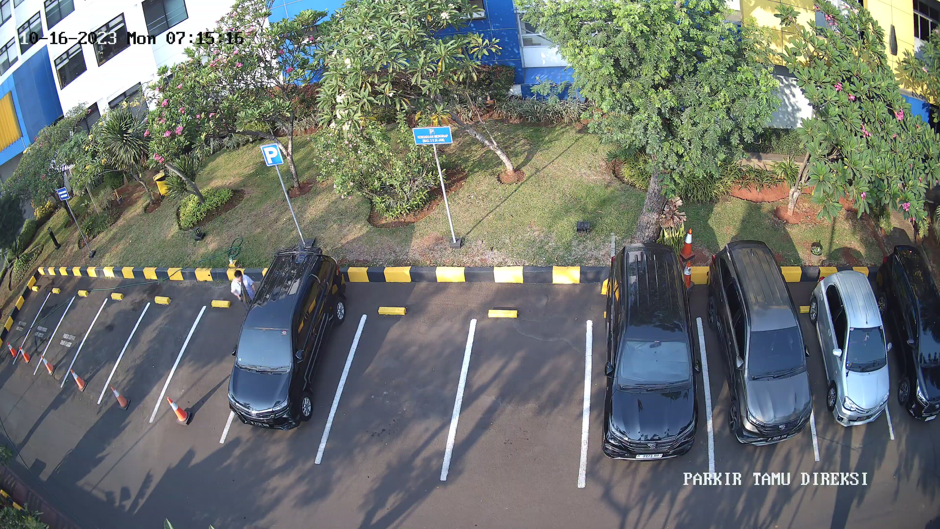 grayscale big ver Object Detection Dataset by geniusparking