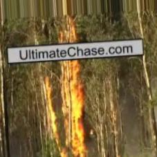 How to Use the Firedetect Instance Segmentation API