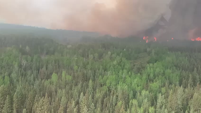 NAVLab_WildfireDetection_20230828 Object Detection Dataset and Pre-Trained Model by ConcordiaNAVLab