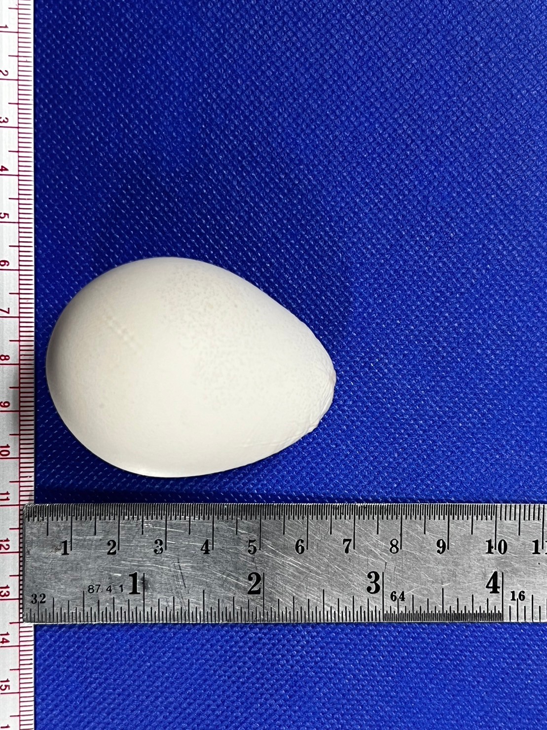 Egg Size AI OJ Object Detection Dataset and Pre-Trained Model by project-is1pv