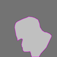 Instance Segmentation Model for Strawberry Diseases Instance Segmentation Dataset by Yachay Tech
