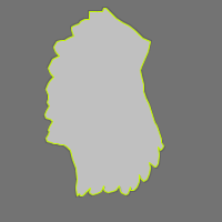 Instance Segmentation Model for Strawberry Diseases Instance Segmentation Dataset by Yachay Tech