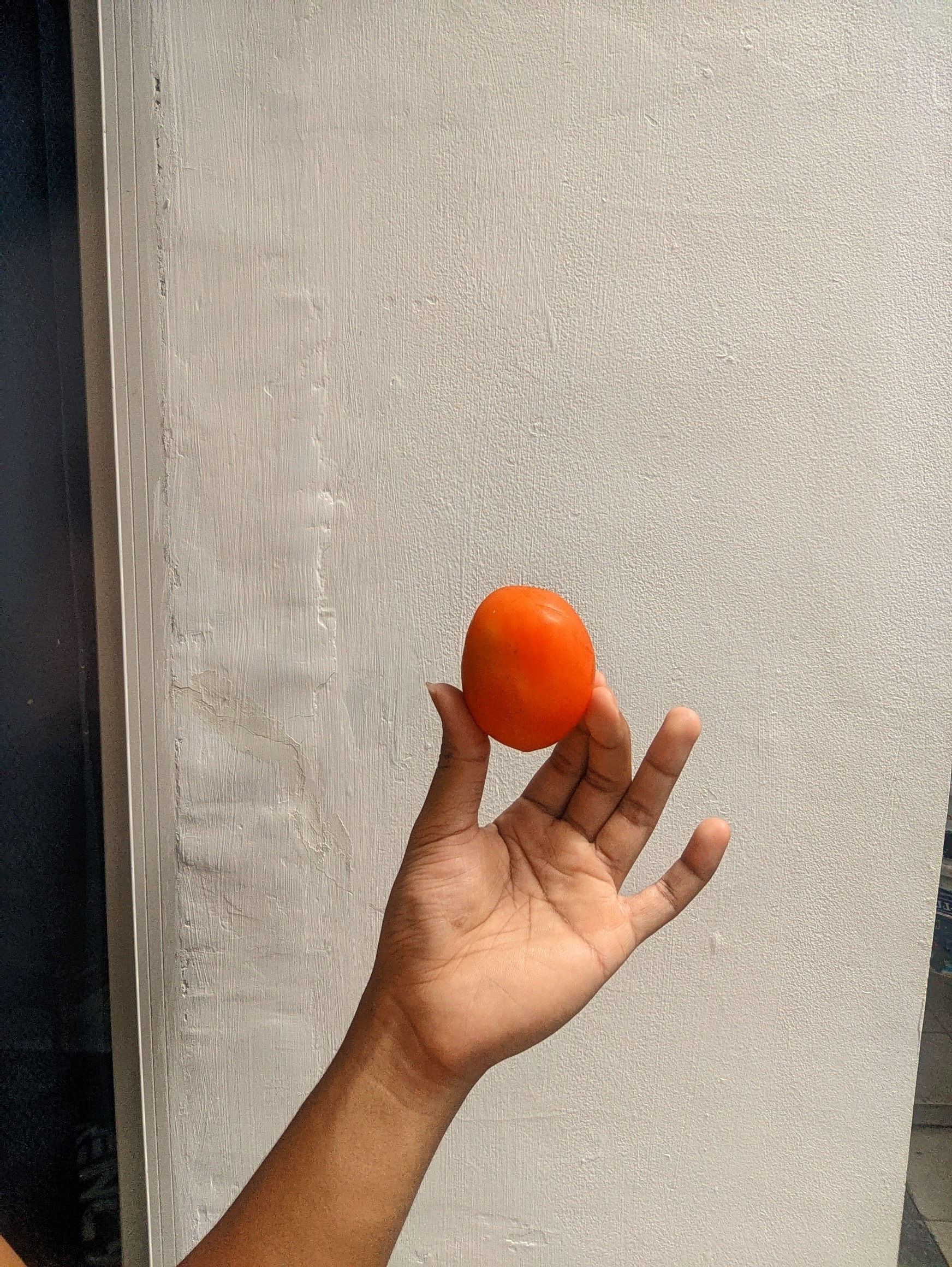 Tomato Detection Fresh or Rotten Object Detection Dataset and Pre-Trained Model by Tomat